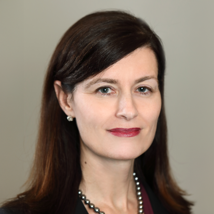 Organizing Committee and Track Committees | IAS 2025 | International ...